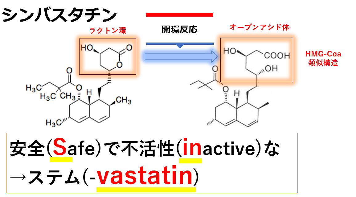 ヤクトリ|薬理学・一般名と商品名の由来。スタチン系薬の覚え方 | ヤクハク！