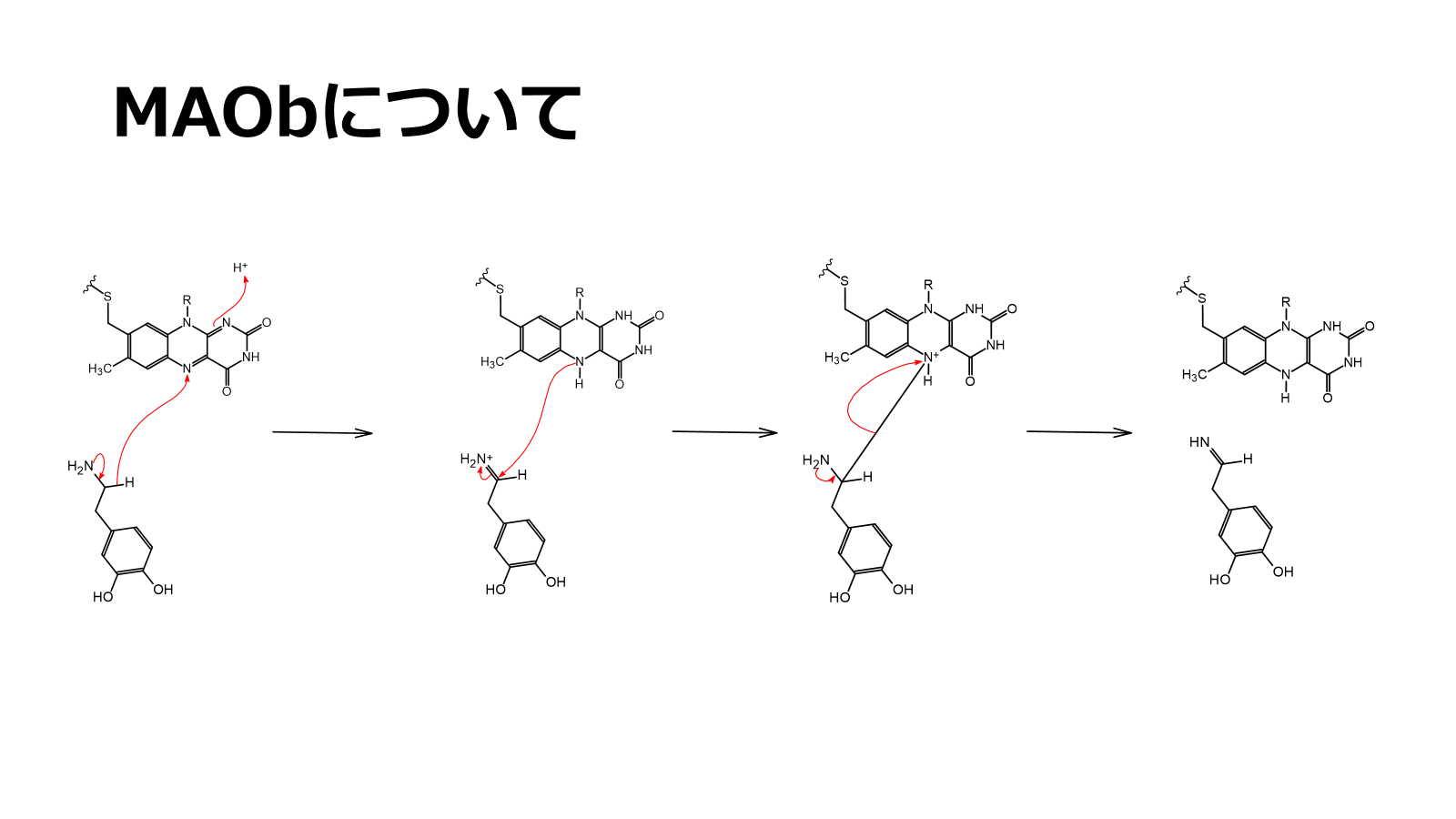 ヤクケミ|カテコールアミンの代謝経路とその関連薬について、有機化学の観点から触れてみた | ヤクハク！